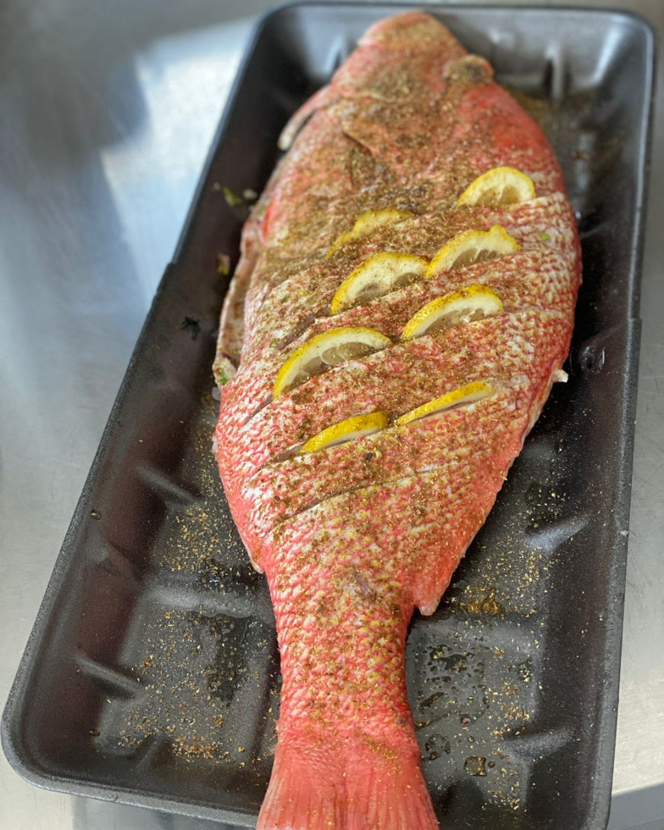 Fresh Wild Caught Red Snapper - Grade A – Seafreshdxb