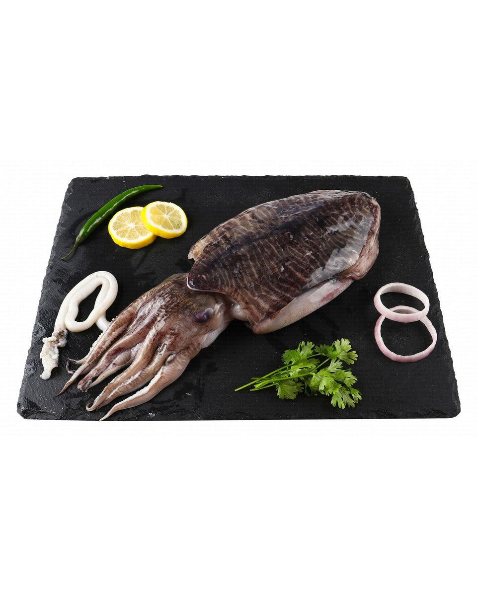 Fresh Large Whole Cuttlefish - Grade A ( 1 piece) – Seafreshdxb