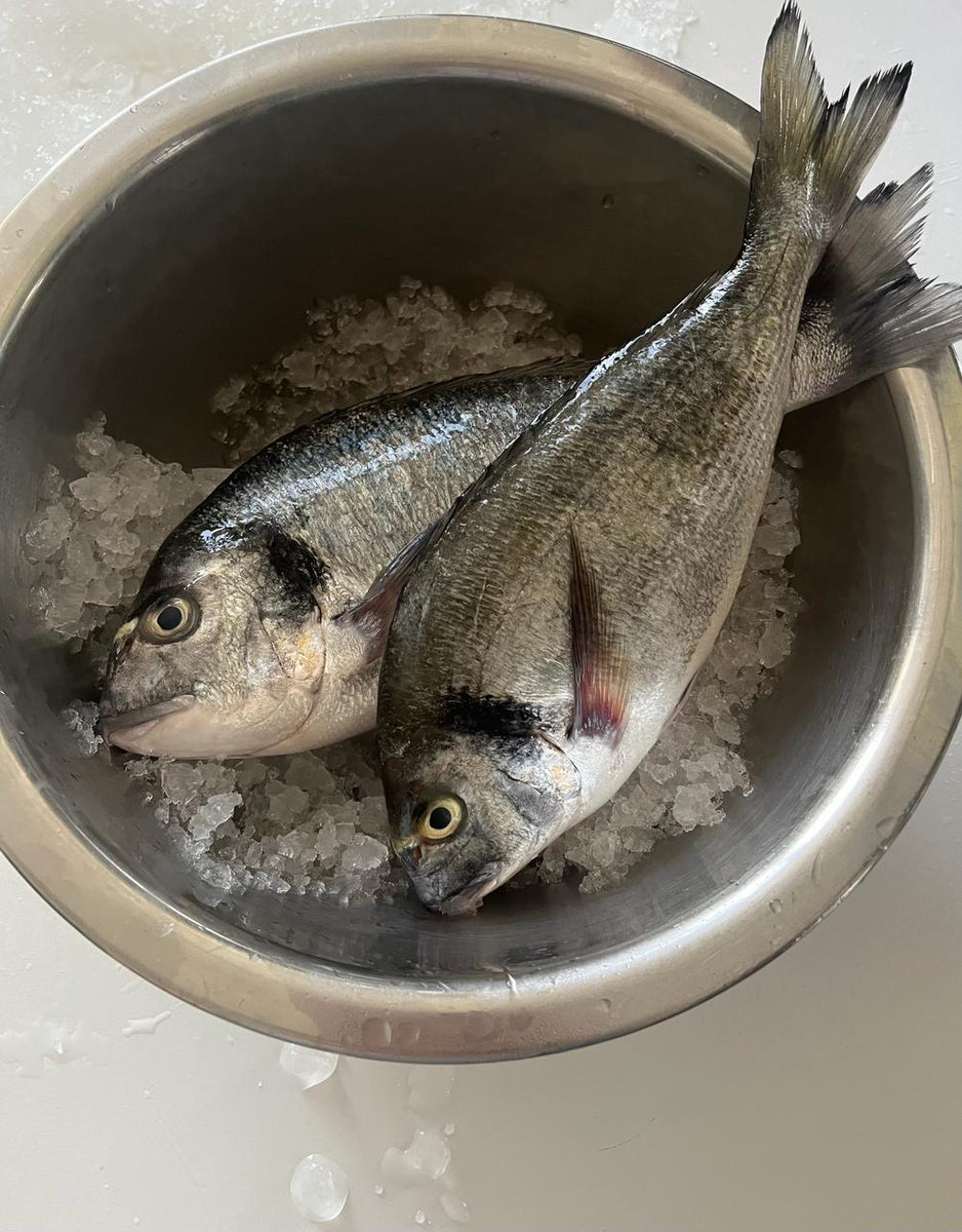 Fresh Premium Whole Sea Bream Grade A Turkey with Marination Options ...